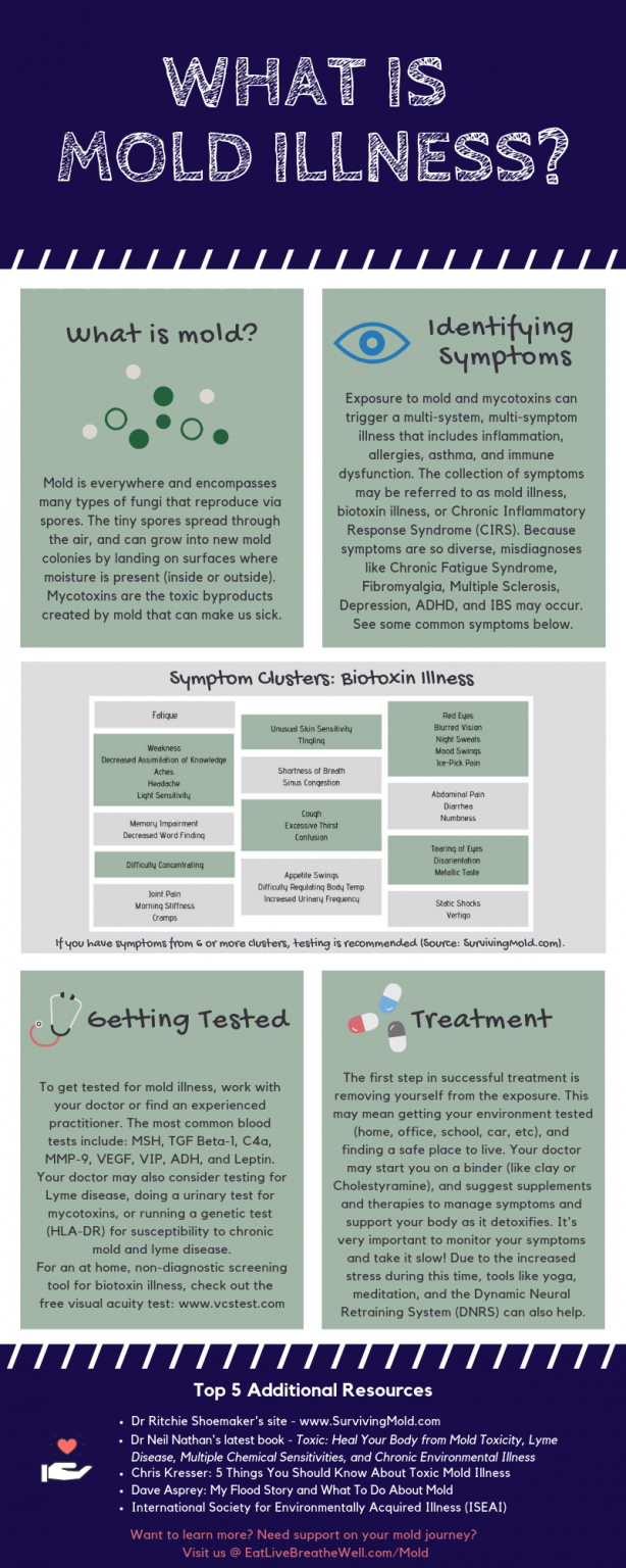 What Is Mold Illness? What is CIRS? - Eat. Live. Breathe. Well